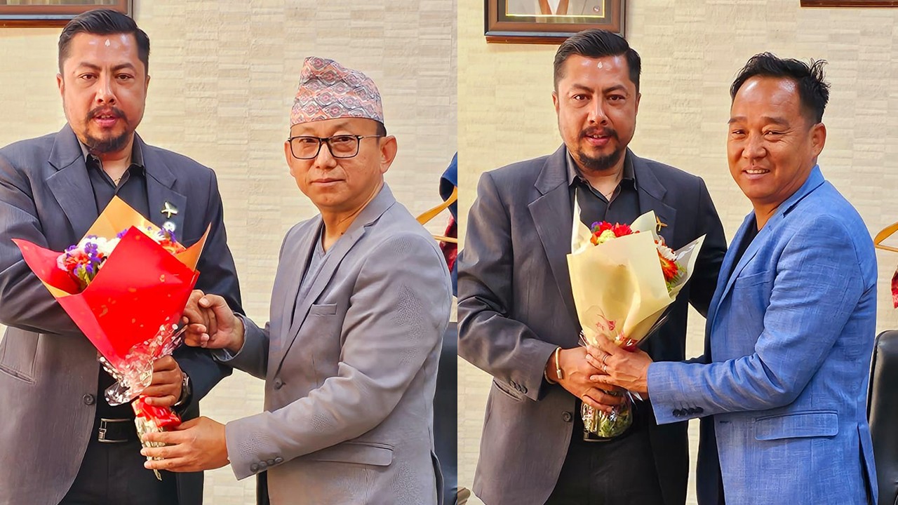 ANFA | News